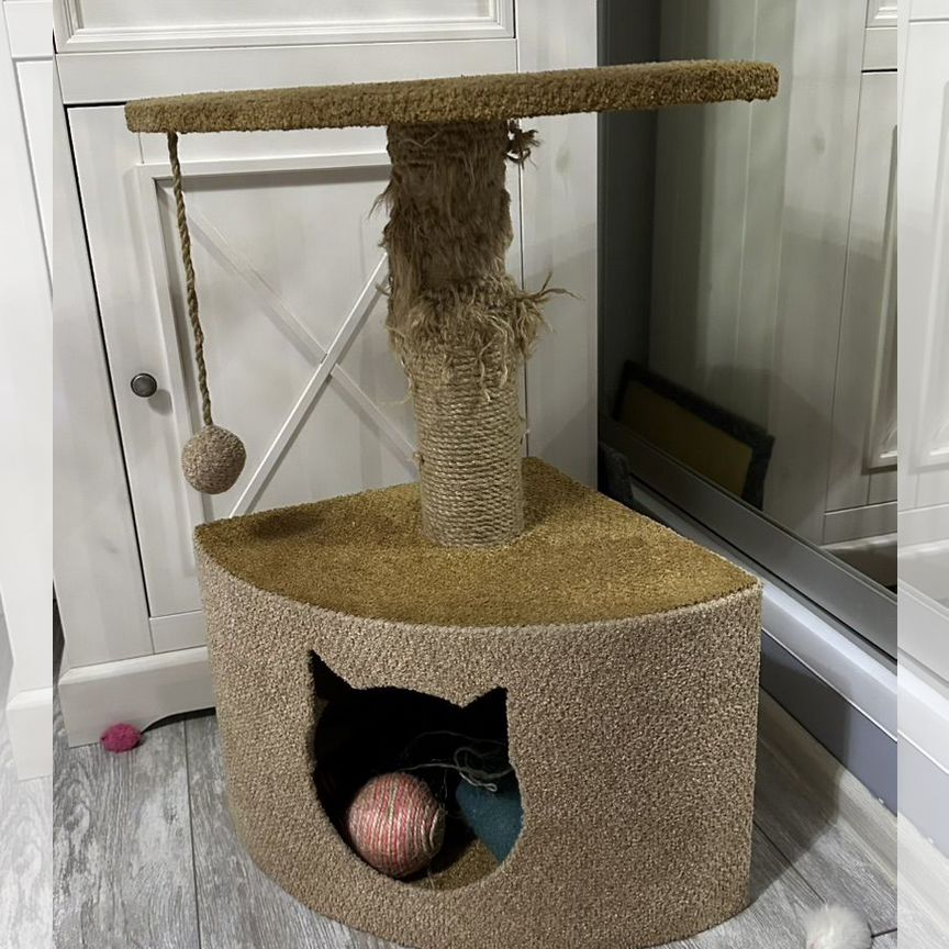 Когтеточка бу