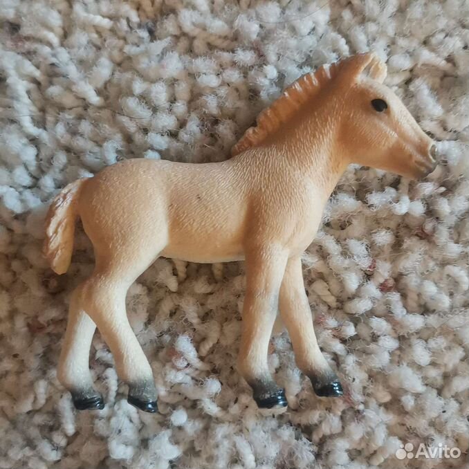 Жеребенок фьорд