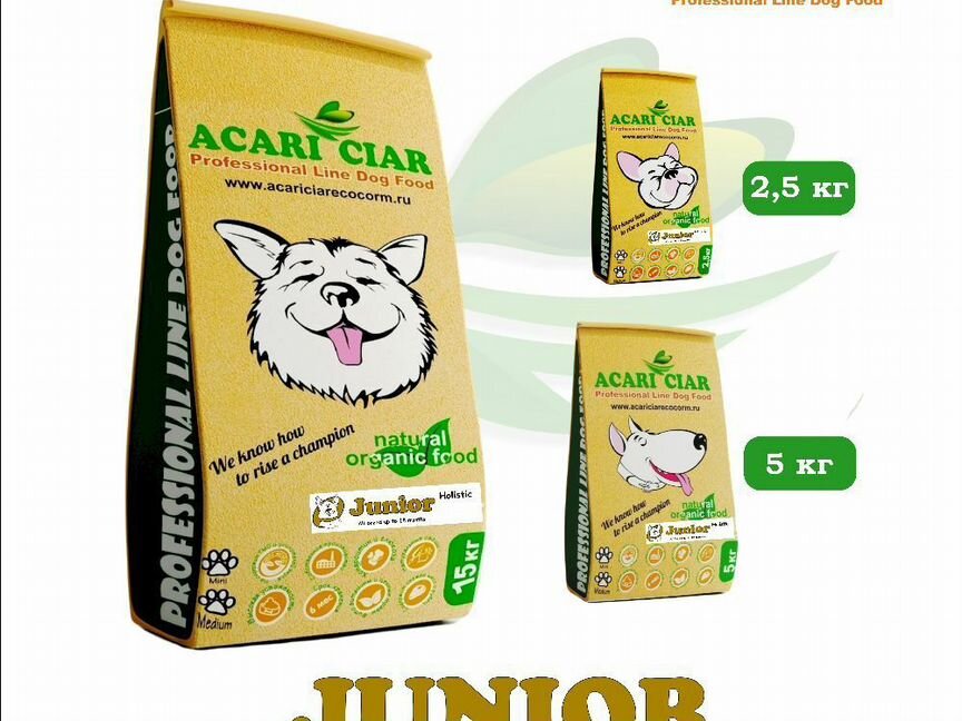 Junior Dog (15, medium)