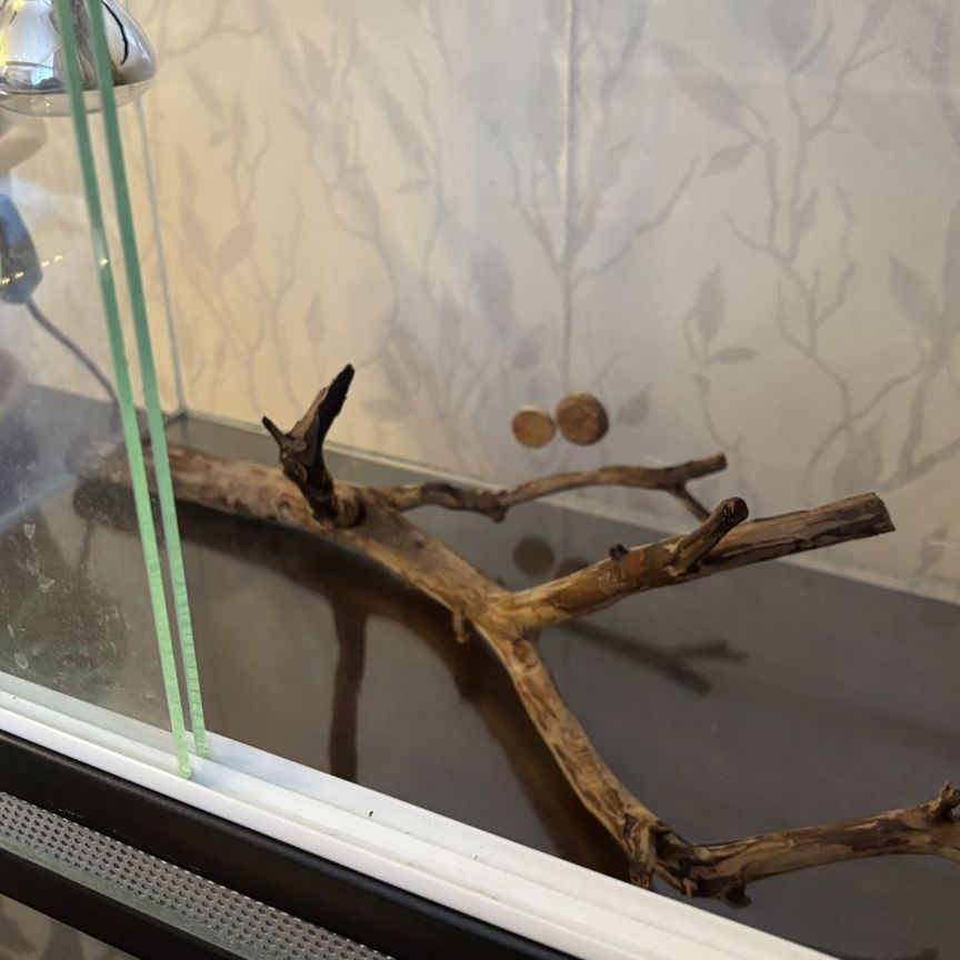 Террариум для рептилий бу