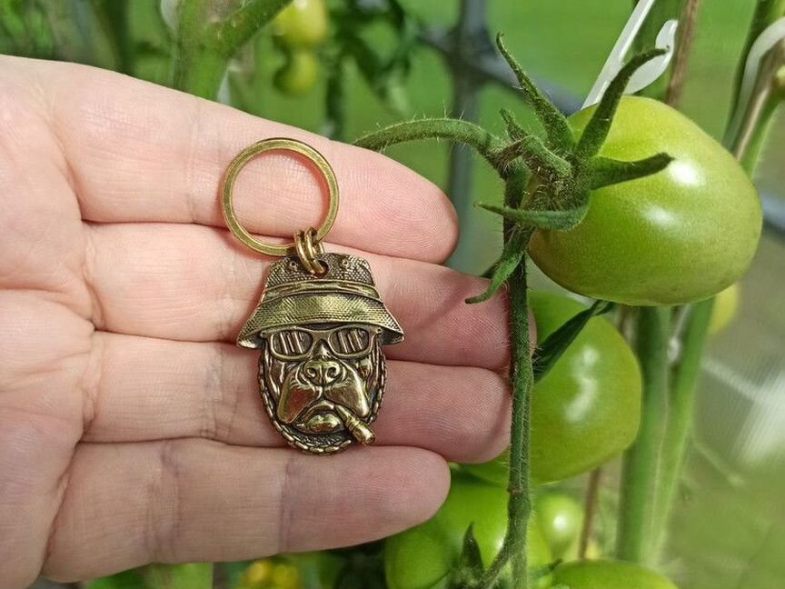 Адресник на ошейник для собак и кошек