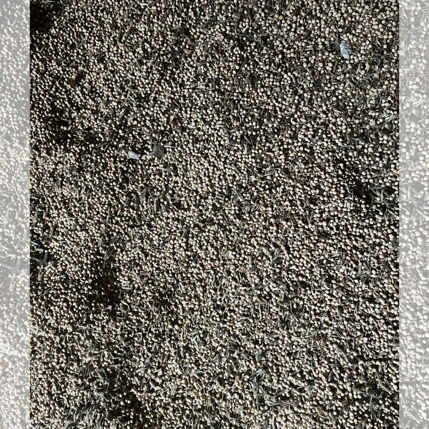 Кормовой горох