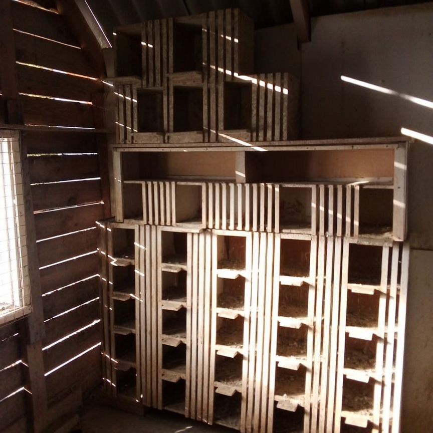 Гнезда для голубей