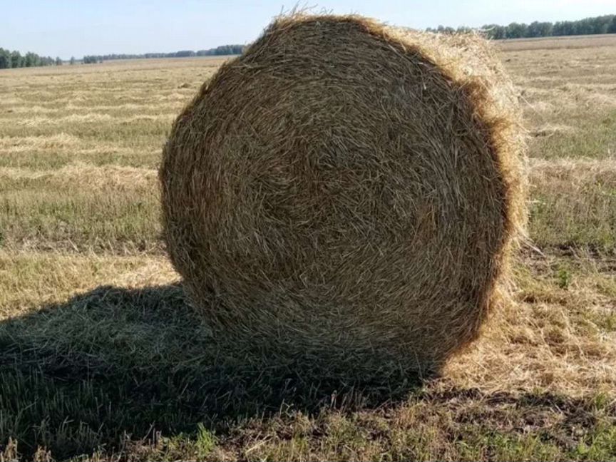 Солома в рулонах