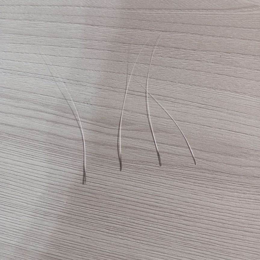 Кошачьи усы