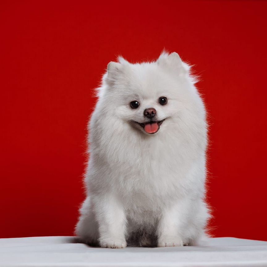 Дизанерские малыши