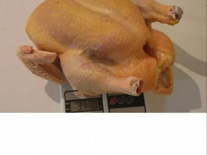 Цыплята бройлеры мясо