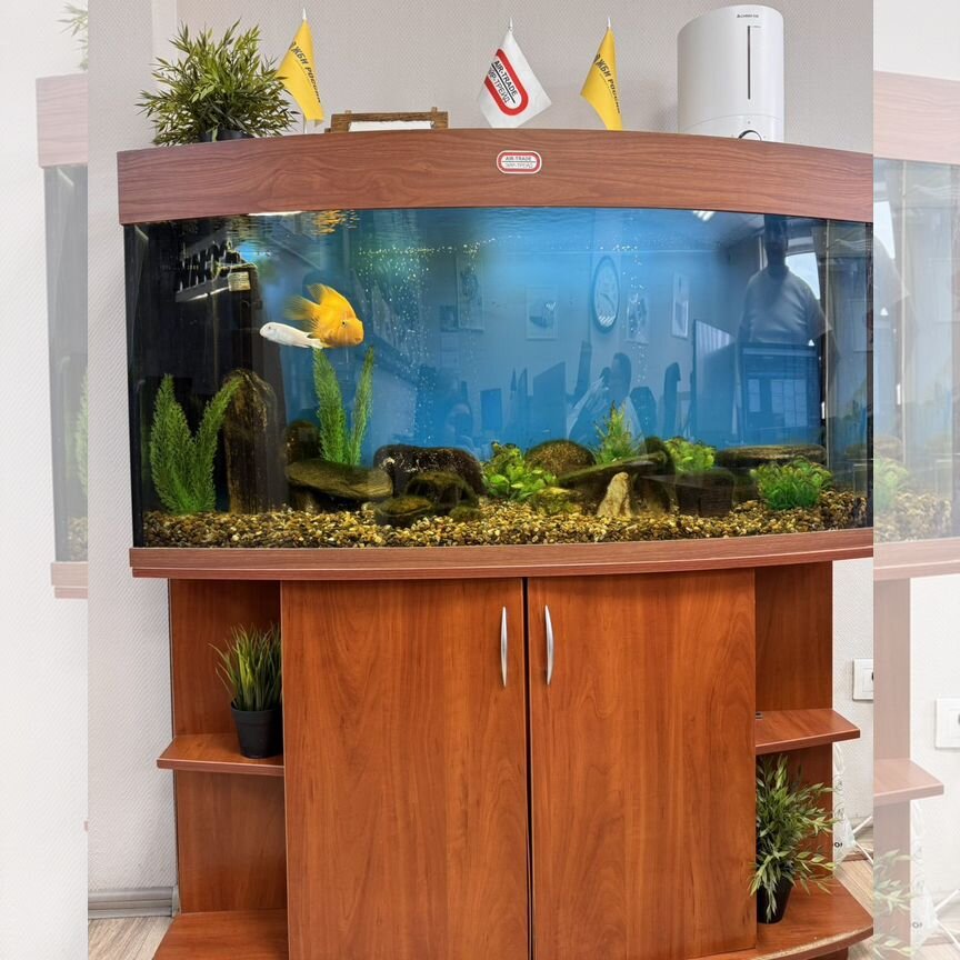 Аквариум с тумбой 230 литров