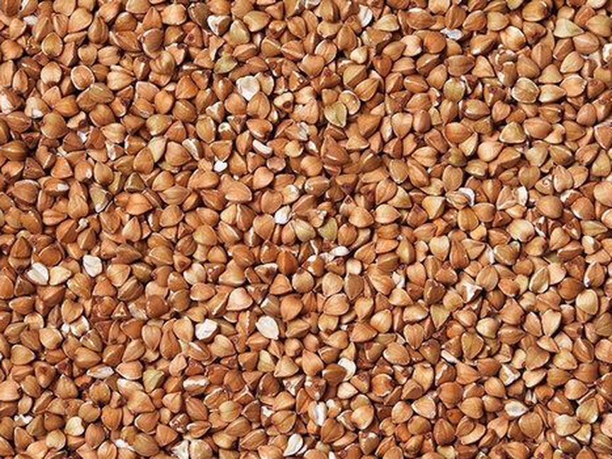 Гречка и рис для собак