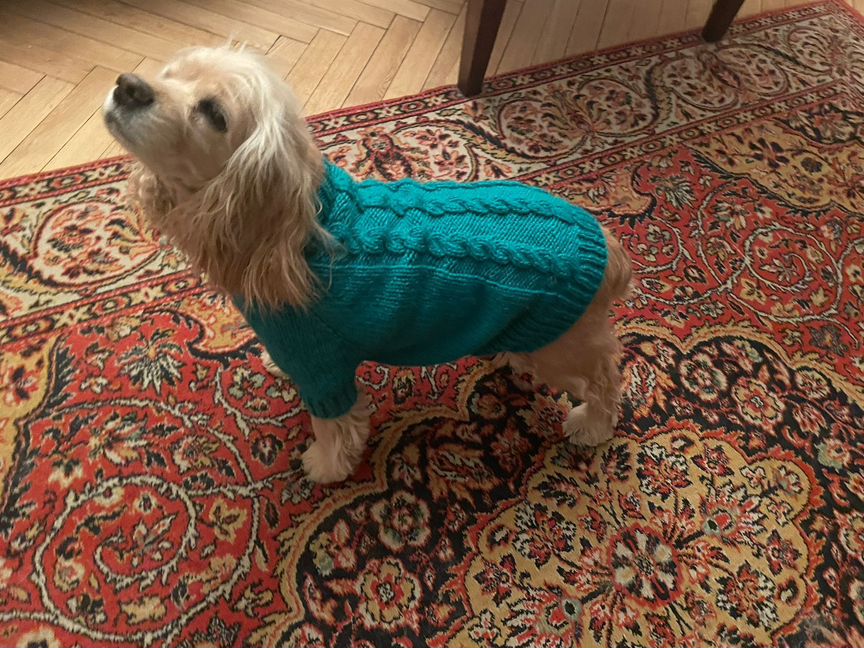 Вязаный свитер для собак