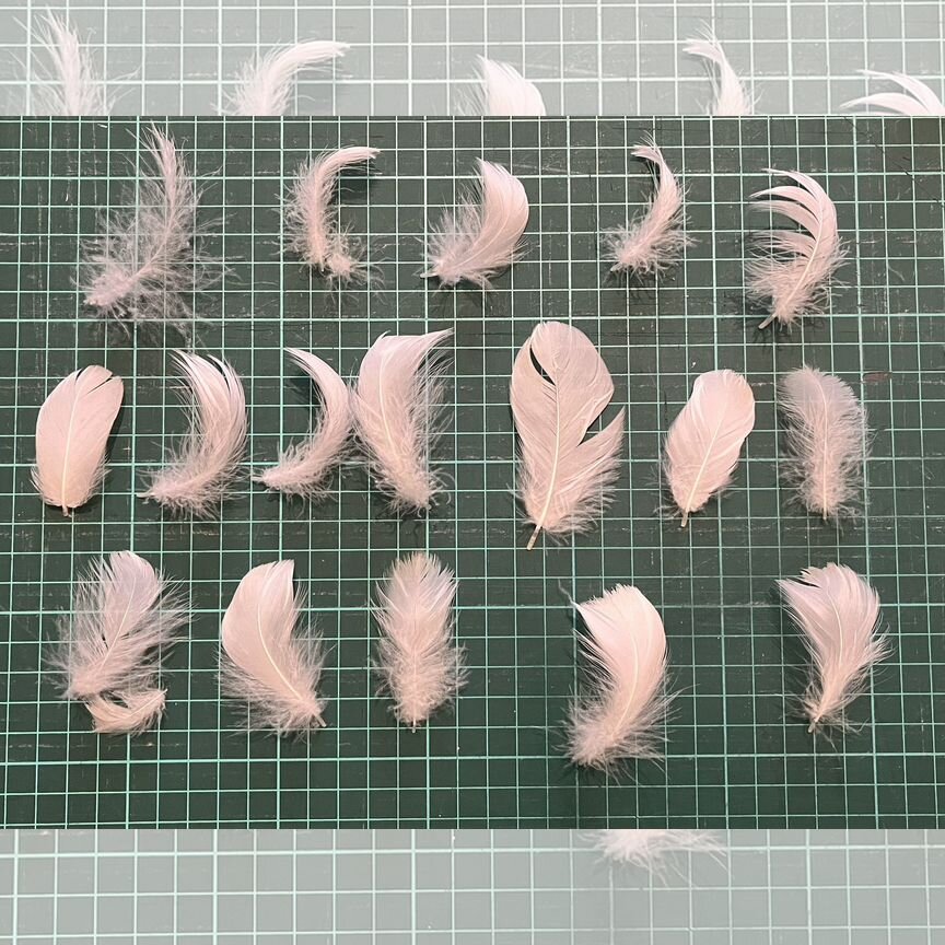 Перья гусиные