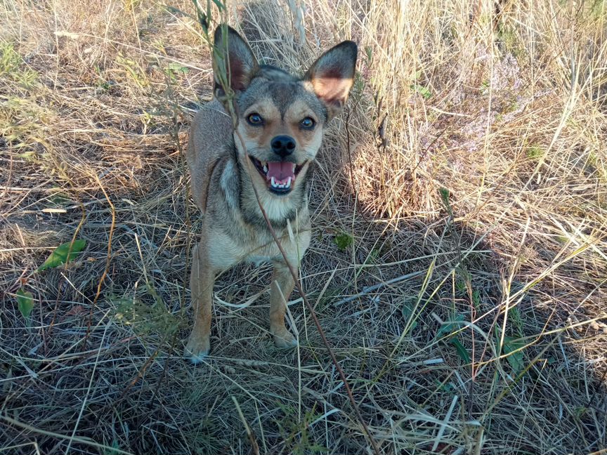 Масяня в заботливые руки