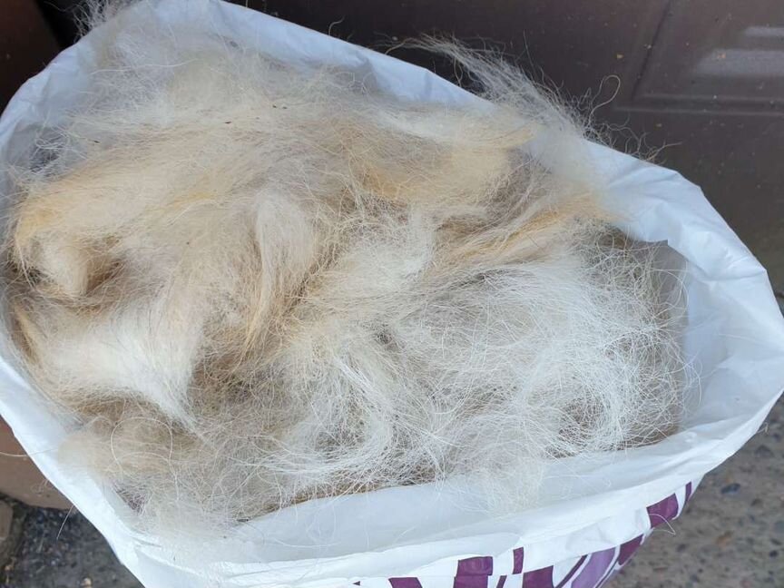 Шерсть собачья