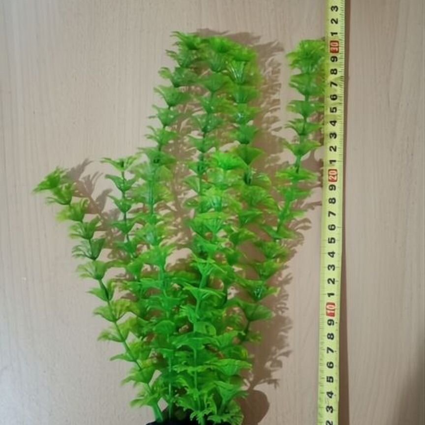 Аквариумное растение декор