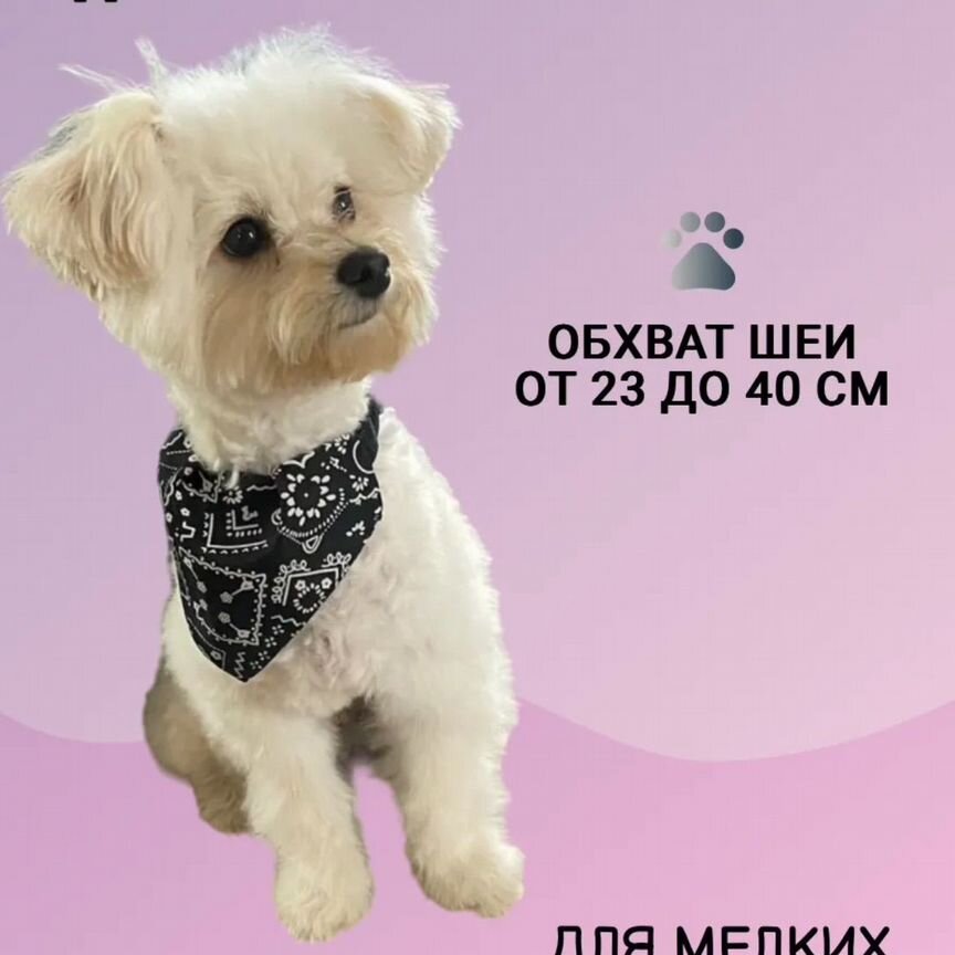 Бандана для кошек и собак