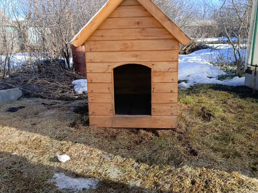 Собачья будка