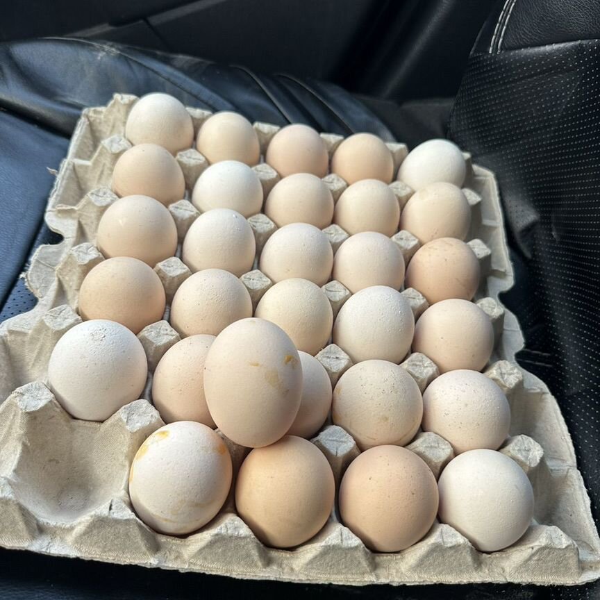 Яйцо куриное оптом