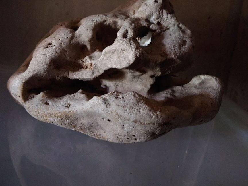 Камень для террариума