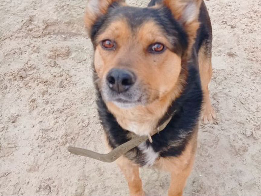 Ищем надёжные ручки