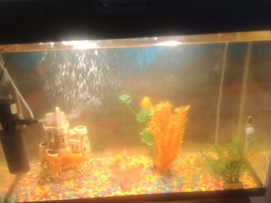 Аквариум с рыбками на 120литров новый