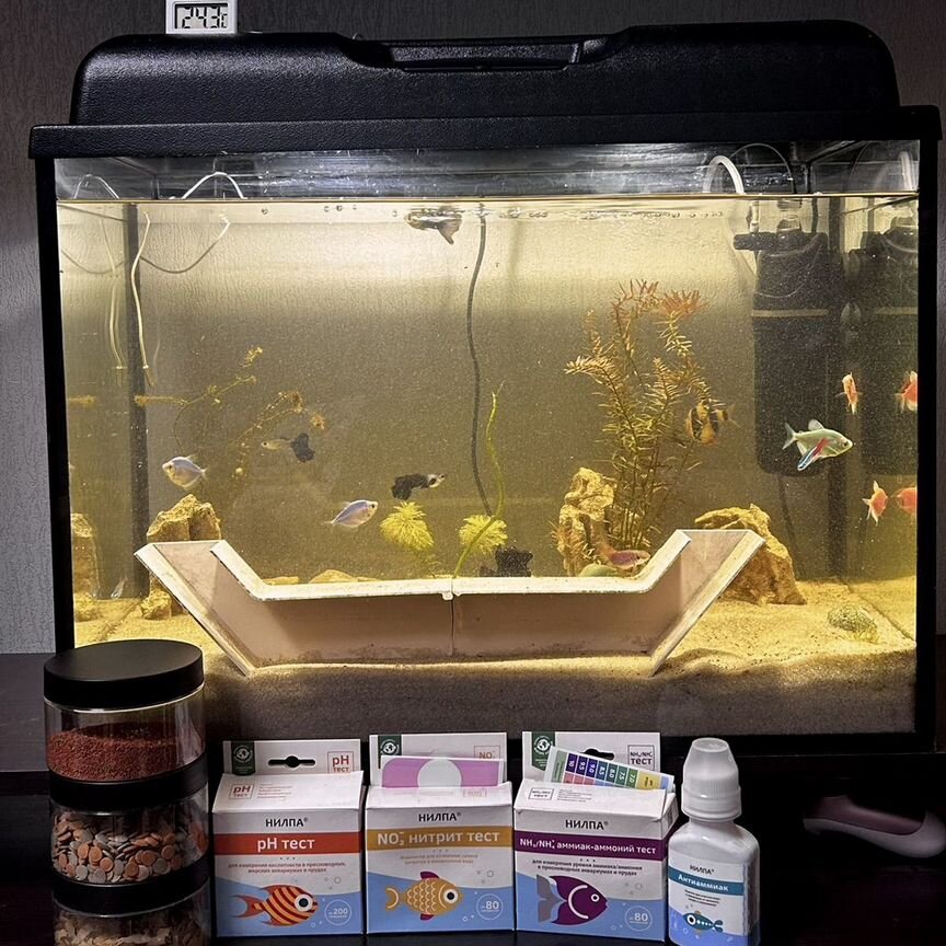 Аквариум с рыбками