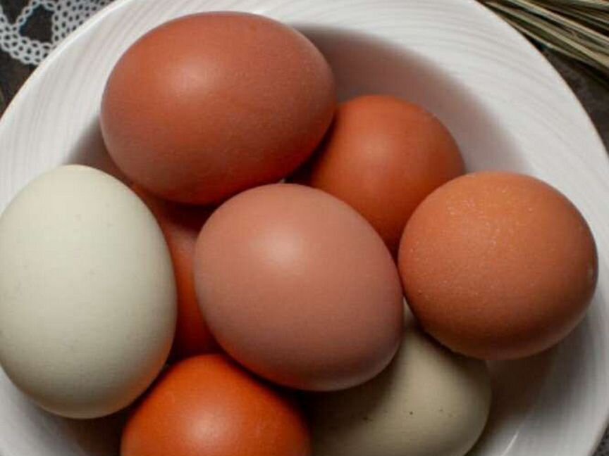 Микс яиц на инкубацию