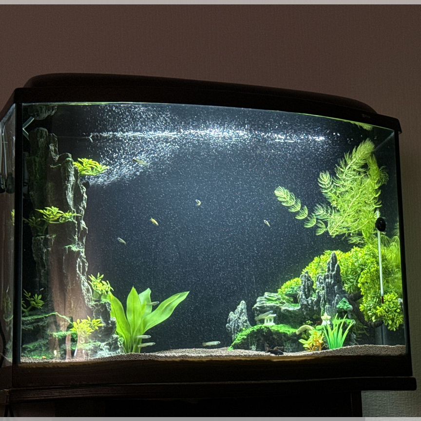 Аквариум 70 литров с тумбой