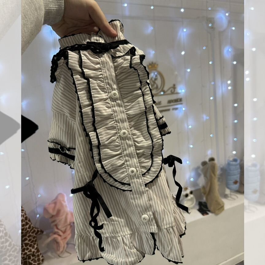 Одежда для собак