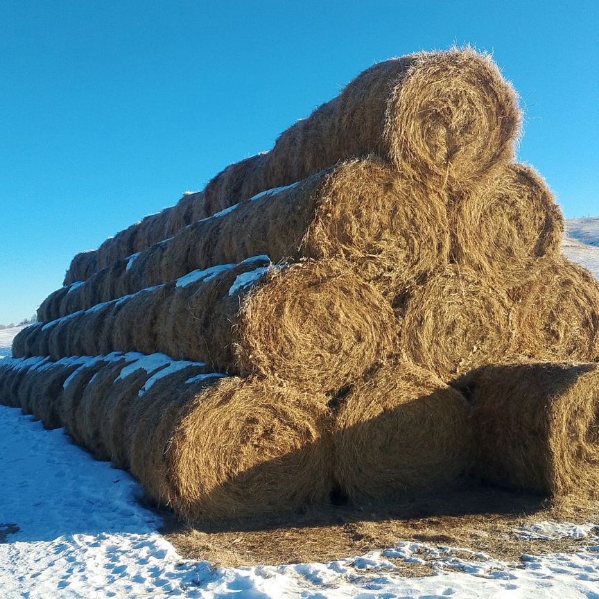 Сено в рулонах