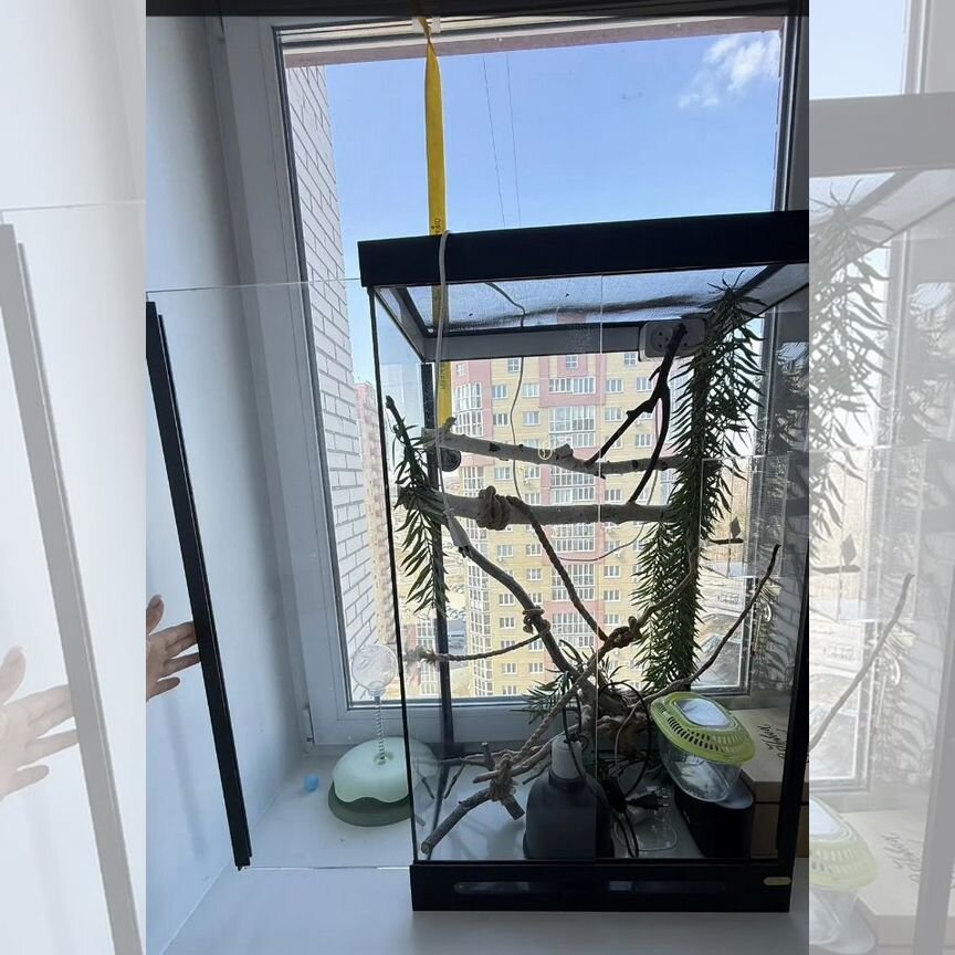 Террариум для хамелеона, готов к заселению