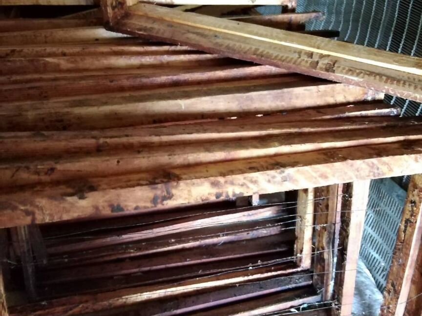 Рамки в ульи для пчёл