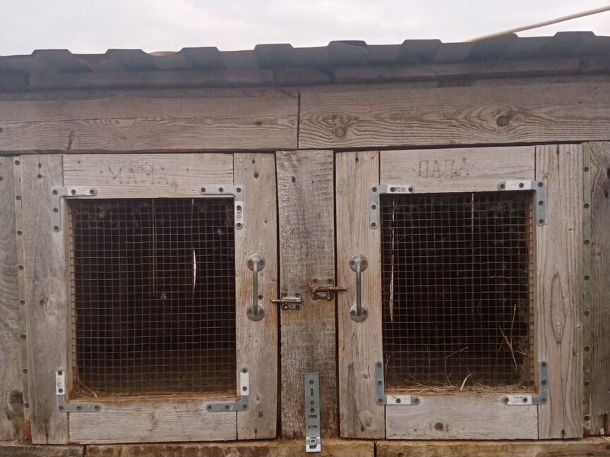 Клетка для кролей