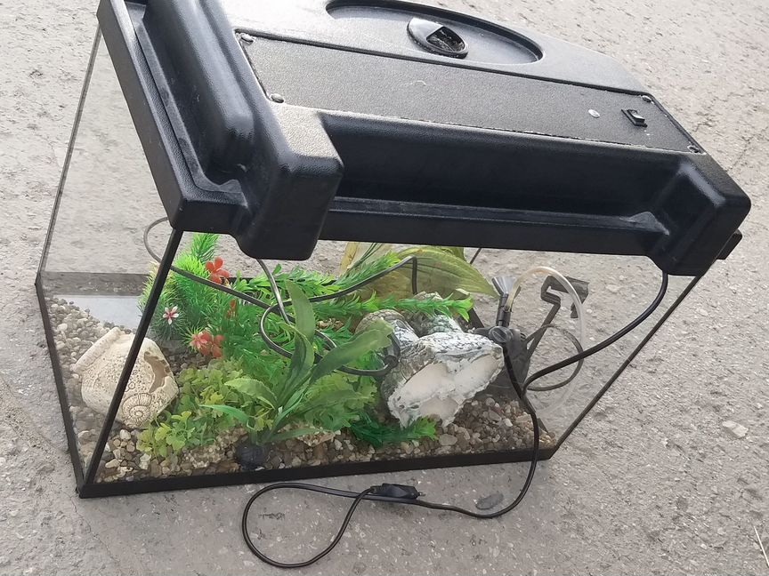 Аквариум 40л + отдам всё для аквариума