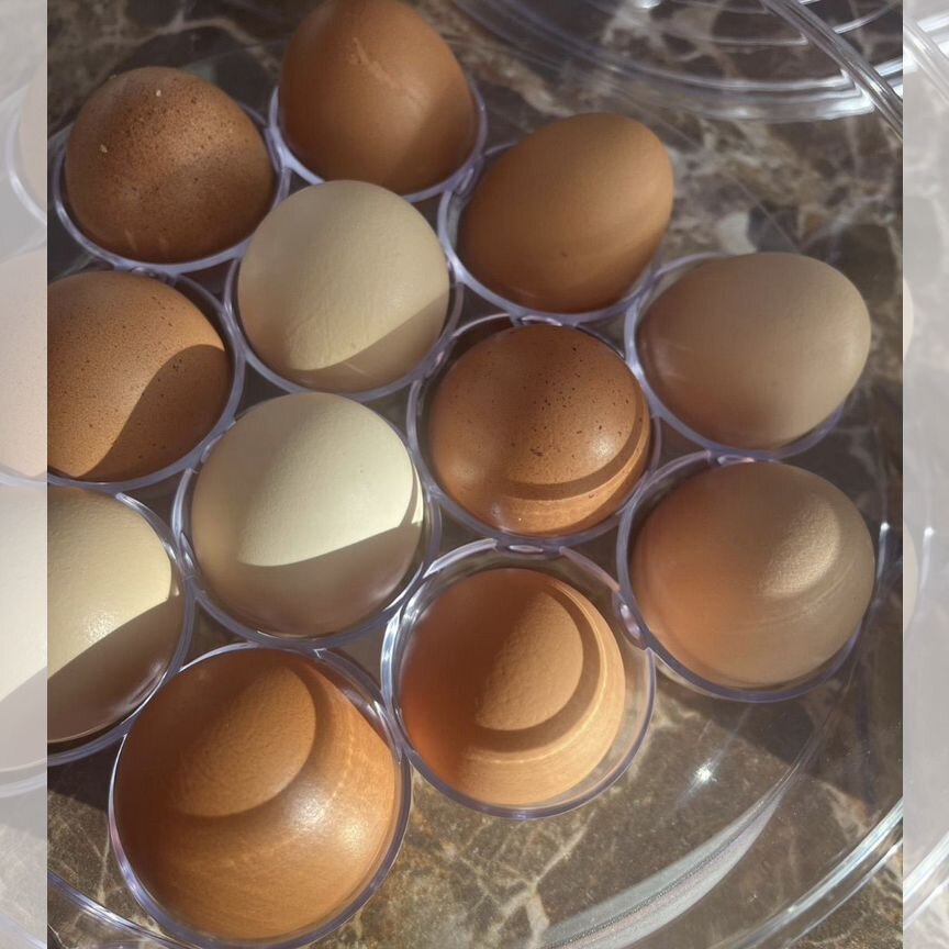 Яйцо домашнее