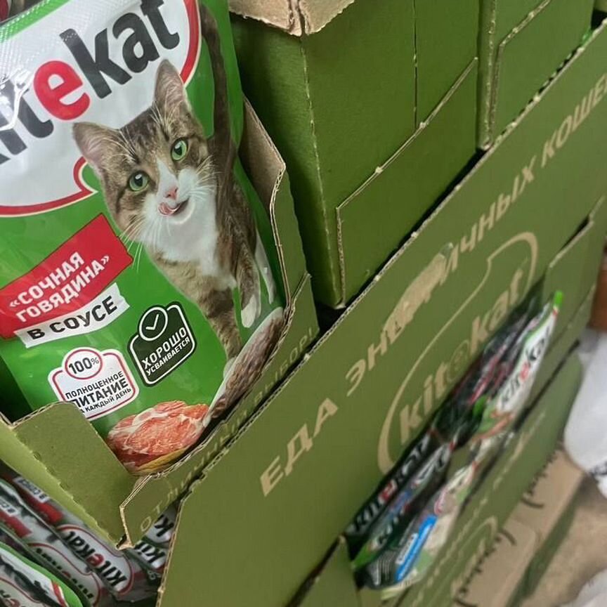 Kitekat влажный корм китикет