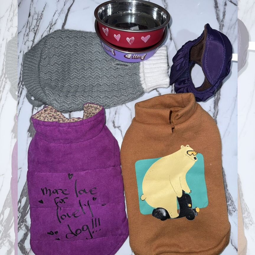 Жилетка миска шапка для маленьких собак xs