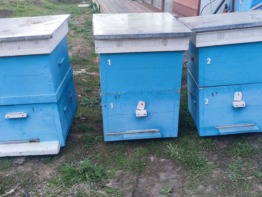 Улей для пчел бу