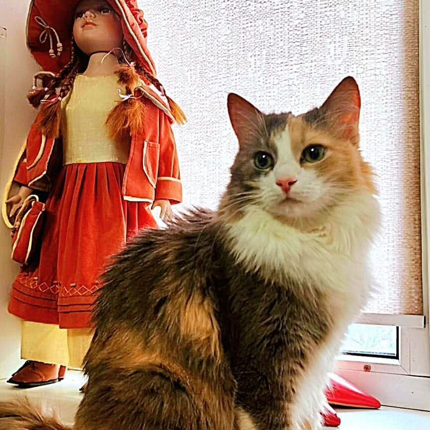 Милена в добрые ручки