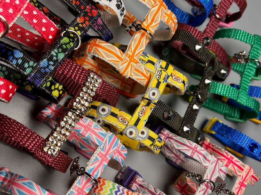 Шлейка поводок для хорька, норки,скунса,енота и др