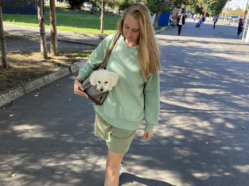 Сумка-переноска для животных