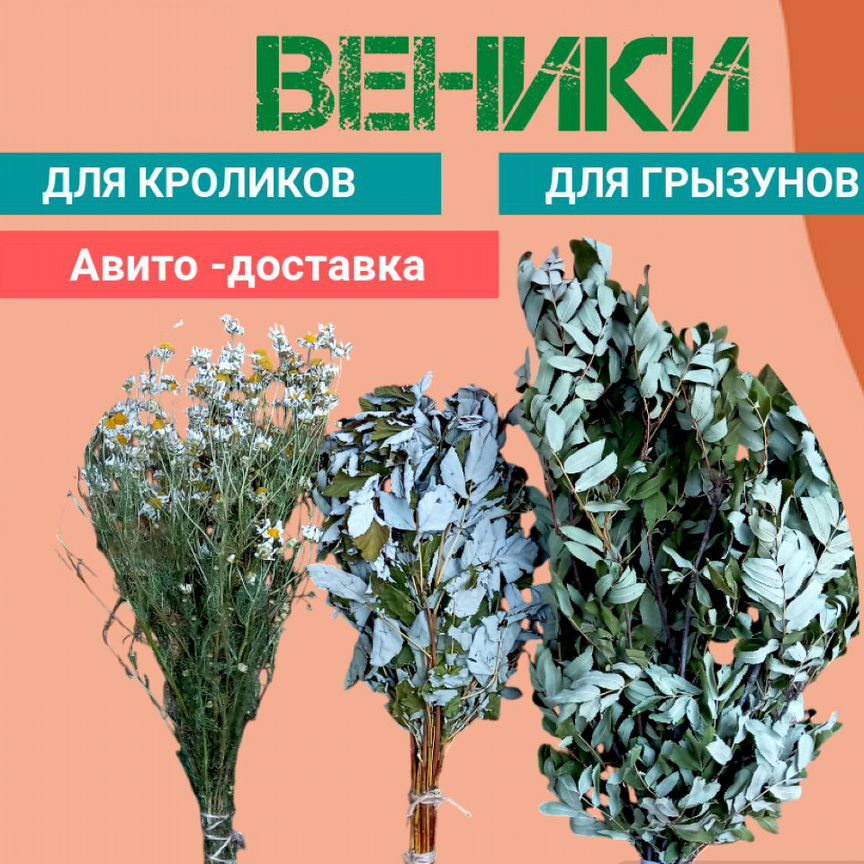 Веточки для грызунов Авито-доставка