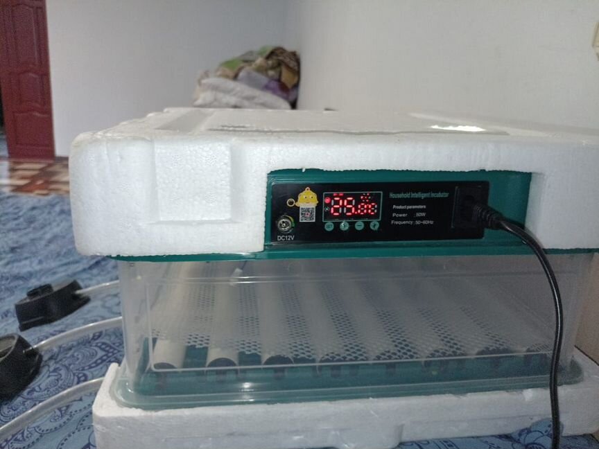 Автоматический интеллектуальный инкубатор