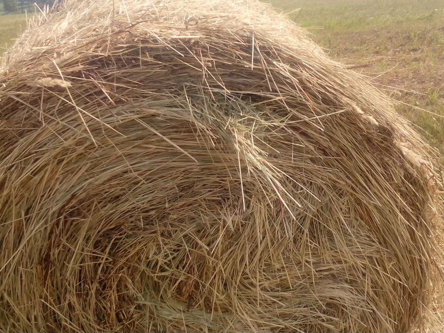 Породам сено