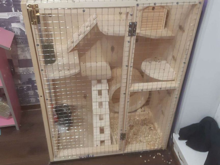 Клетка для шиншиллы, Шуша в подарок