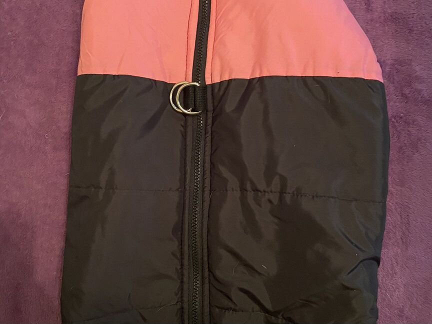 Одежда для собак