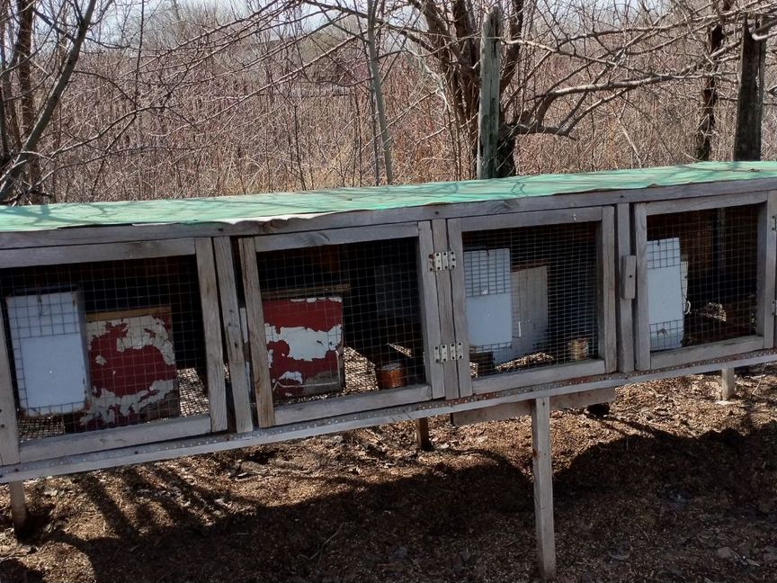 Клетка для кролика