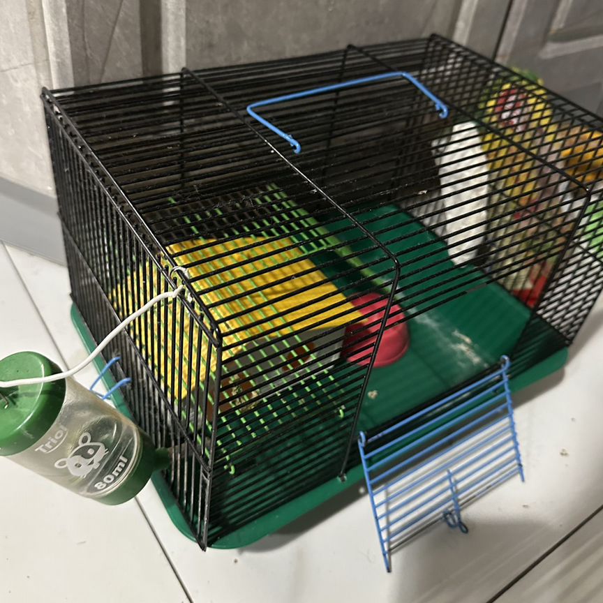 Клетка доя грызунов