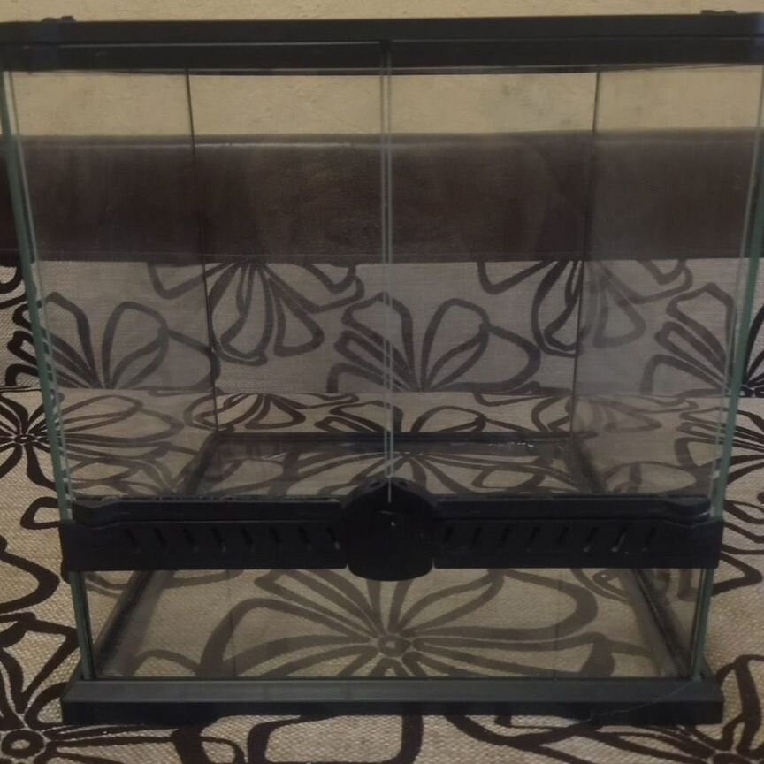 Террариум для эублефара