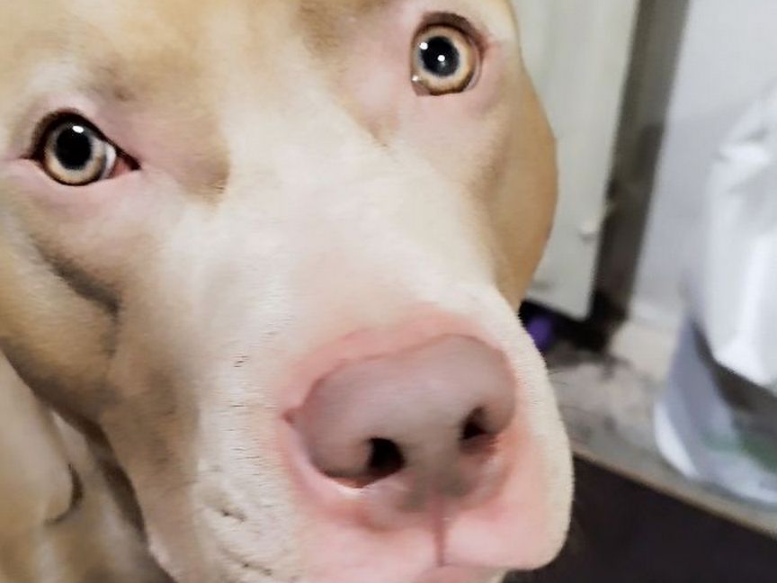 Вязка прайтер