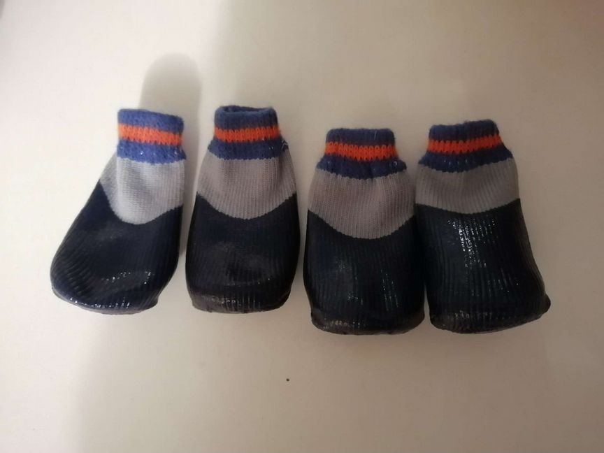 Носочки для собак